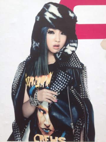 Photos: Close-Ups of 2NE1 COLLECTION Album ADs in Japan